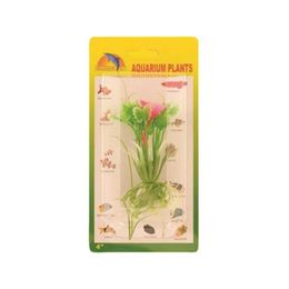 Meadow Butterfly plant plastic 10 cm