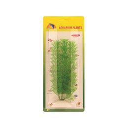 Meadow Hornwort plastic 20 cm