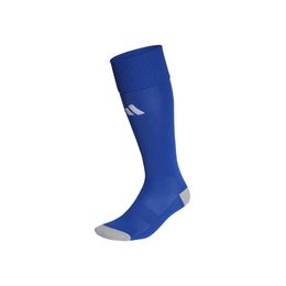 adidas Performance Sportsocken 'Milano 23' Damen Größe 49/51 royalblau / hellgrau / weiß
