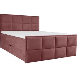 Boxspringbett LEONIQUE, B:184cm L:210cm, rot, Holz teilmassiv, Komplettbetten, "Timeo", in den Breiten 120,140,160 & 180 cm erhältlich