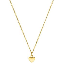 Kette mit Anhänger PURELEI "Schmuck Geschenk Heart Herz Charm Anhänger, 2116" Halsketten Gr. Edelstahl, L: 55cm, goldfarben (gelbgoldfarben) Damen