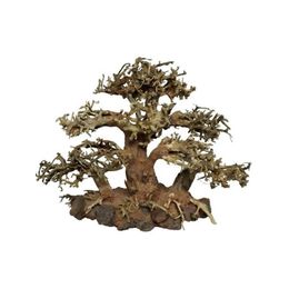 4FISH Tree roots Tree Island 20x10x15 cm