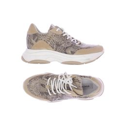 Steve Madden Damen Sneakers, beige, Gr. 40