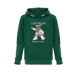 Williot Sweatshirt Jungen Gr&ouml;&szlig;e 170/176 dunkelgr&uuml;n / mischfarben