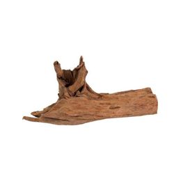 Eldorado Mangrove drift-wood XXL - 50cm-65cm.