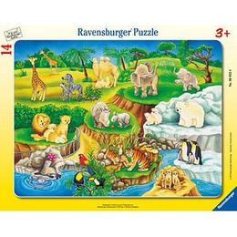 Ravensburger Zoobesuch Puzzle, 14 Teile