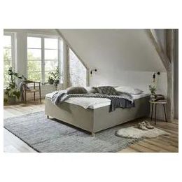 Boxbett Home Affaire "Thorsby" Komplettbetten Gr. Bezug Strukturstoff, Liegefläche B/L: 160cm x 200cm Betthöhe: 51cm, Gewicht bis: 120 kg H3, Taschen-Federkernmatratze, beige (creme) Boxspringbett Boxbett ohne Kopfteil, frei im Raum stellbar, für Dachschrägen