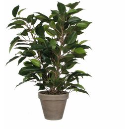 Edm Mica Kunstpflanze Ficus Natasja grün im Topf 40 x 30 cm künstliche Pflanze