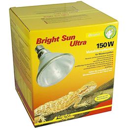 Bright Sun ultra Desert - 150W - LUCKY REPTILE