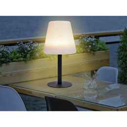 Smartwares® Solar Tischleuchte Outdoor, per usb & Solar aufladbar, Höhe 25cm