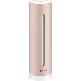 Netatmo Healthy Home Coach NE1020ZZ Thermo-/Hygrometer App basierend