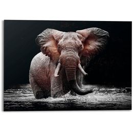 Deco-Panel Reinders "Elefant" Bilder Gr. B/H/T: 140cm x 100cm x 2cm, schwarz