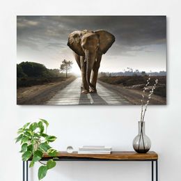 Wandbild Reinders "Elefant König" Bilder Gr. B/H: 118cm x 70cm, Querformat, bunt (braun, grau, blau)