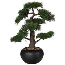 Kunstpflanze Creativ green "Bonsai", grün, B:15cm H:37cm, Kunstpflanzen