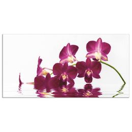 Küchenrückwand Artland "Phalaenopsis Orchidee", lila, B:120cm H:60cm, Aluminium, Spritzschutzwände, Alu Spritzschutz mit Klebeband, einfache Montage