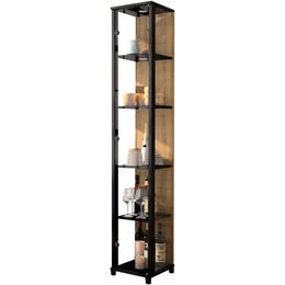 Fif Möbel Vitrine FIF MÖBEL "OPTIMA" Schränke Gr. B/H/T: 31,5cm x 172cm x 32cm, Mit Beleuchtung, schwarz, wildeiche Standvitrine, Vitrinenschrank, Glasvitrine, Sammlervitrine