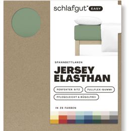 Spannbettlaken Schlafgut "EASY Jersey Elasthan" Laken Gr. B/L: 180-200cm x 200-220cm, Jersey, 180-200x200-220cm 30cm, grün (grün mid) MADE IN GREEN by OEKO-TEX