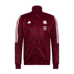 FC Bayern Trainingsjacke LFSTLR - Bordeaux - Adidas