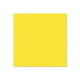 Adam Hall ah Hardware 0479 G - 6,8 mm Birkensperrholz 2500 x 1250 mm mit Gegenzugfolie, gelb