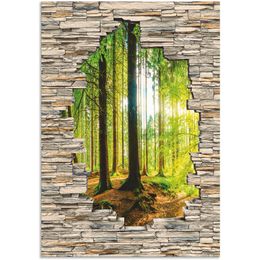 Wandbild Artland "Wald mit Bach Blick Stein Mauer" Bilder Gr. B/H: 50cm x 70cm, Alu-Dibond-Druck Waldbilder Hochformat,, grün als Alubild, Outdoorbild, Poster, Wandaufkleber in verschied. Größen