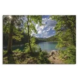 Wandbild Artland "Eibsee", grün, B:120cm H:80cm, Bilder, als Alubild, Outdoorbild, Leinwandbild in verschied. Größen