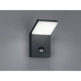 Trio Led Außenwandleuchte pearl Downlight mit Bewegungsmelder in Anthrazit IP54