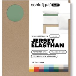 Spannbettlaken Schlafgut "EASY Jersey Elasthan Topper" Laken Gr. B/L: 140-160cm x 200-220cm, Jersey, 140-160x200-220cm 10cm, grün (grün mid) MADE IN GREEN by OEKO-TEX