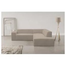 Ecksofa WERK2 "Zeus-M, tolles Sofa mit schönen Details, L-Form", braun (hellbraun), B:251cm H:70cm T:262cm, 100% Polyester, Sofas, Curvy Trend Garnitur, urbane Optik, komfortable Wellenunterfederung