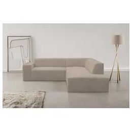 Ecksofa Inosign "Zeus-M" Sofas Gr. B/H/T: 251cm x 70cm x 262cm, Chenille, Recamiere rechts, Recamiere rechts, braun (hellbraun) Curvy Trend Garnitur mit urbaner Optik