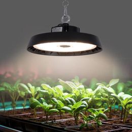 Pflanzenlampe led Vollspektrum 150W grow Light