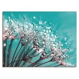 Wandbild Artland "Glitzernde Pusteblume I", blau, B:120cm H:90cm, Canvas, Leinwand, Bilder, als Leinwandbild, Poster in verschied. Größen