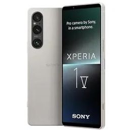 Sony Xperia 1 V 256GB [Dual-Sim] platinsilber (Neu differenzbesteuert)