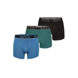 Phil & Co. Berlin Boxer shorts ' Jersey Core ' male Blue, Green, Black size XXL