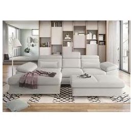 Sit & More Ecksofa SIT & MORE "Cabrio L-Form, mit Sitztiefenverstellung, Arm- und Kopfteilverstellung" Sofas Gr. B/H/T: 295cm x 87cm x 180cm, Struktur weich, Recamiere links, mit Bettfunktion-mit Bettkasten-mit Armteilfunktion-mit 2 Nierenkissen, grau (hellgrau) 2 Nierenkissen, Federkern, optional Bettfunktion und Stauraum