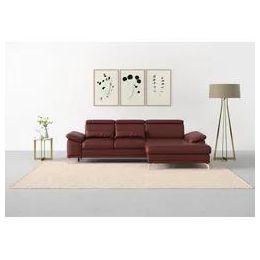 Sit & More Ecksofa SIT & MORE "Cabrio L-Form, mit Sitztiefenverstellung, Arm- und Kopfteilverstellung" Sofas Gr. B/H/T: 295cm x 87cm x 180cm, NaturLEDER-Stoff, Recamiere rechts, ohne Bettfunktion-ohne Bettkasten, rot (merlot) 2 Nierenkissen, Federkern, optional Bettfunktion und Stauraum