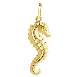 Firetti Damen Kettenanhänger "Schmuck Geschenk Gold 333 Halsschmuck Anhänger Halskette Seepferd", Gelbgold 333, 0,54 g, gold, Gelbgold 333,