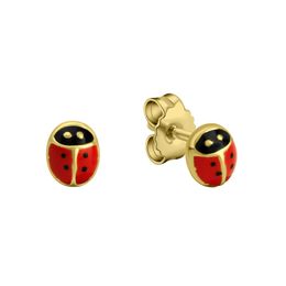 ZEEme Jungen Paar Ohrstecker "Gold 333 Motiv Marienk&auml;fer", one-size, Gold, gelb, Gold, Ohrringe