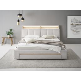 Polsterbett Inosign, B:210cm H:110cm L:235cm, beige, Betten, "CiTY/GiRON,, gepolstertes Stauraumbett, mit LED Beleuchtung", Bettkasten mit Hundebett