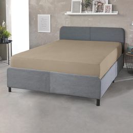 Dreamtex Spannbetttuch für Topper oder Boxspringbett