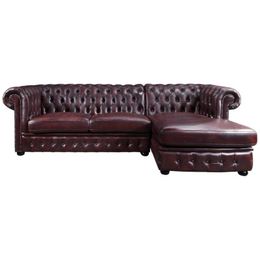 Chesterfield Ecksofa - Ecke Rechs - Büffelleder - Rotbraun - brenton