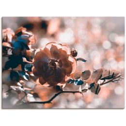 Wandbild Artland "Rose", silber (silberfarben), B:120cm H:90cm, Canvas, Leinwand, Bilder, als Leinwandbild, Wandaufkleber in verschied. Größen