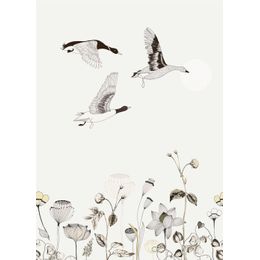 Fototapete rasch "Most Fabulous / Onszelf", beige (creme), B:2m L:3m, Tapeten
