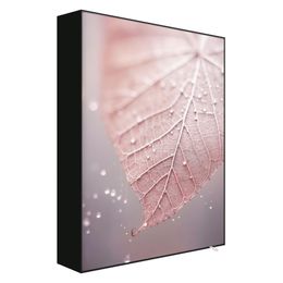 Bilderwelten Akustik-Wechselbild Rosa Blatt Close-Up