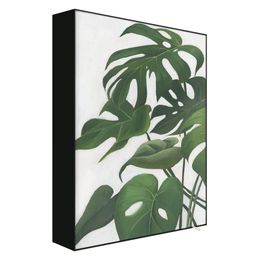 Bilderwelten Akustik-Wechselbild Lieblingspflanzen - Monstera