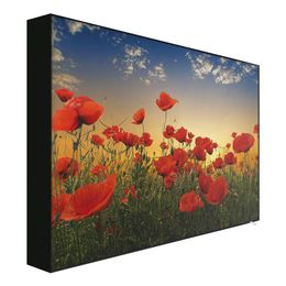 Bilderwelten Akustik-Wechselbild Mohnblumenfeld im Sonnenuntergang
