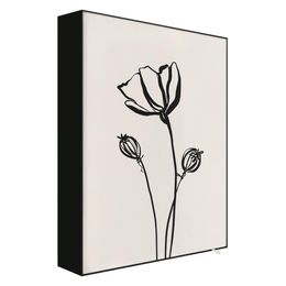 Bilderwelten Akustik-Wechselbild Mohn Illustration II