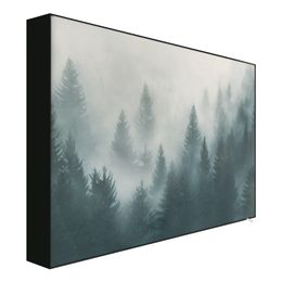 Bilderwelten Akustik-Wechselbild Nadelwald im Nebel