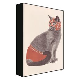 Bilderwelten Akustik-Wechselbild Wrestling Cat