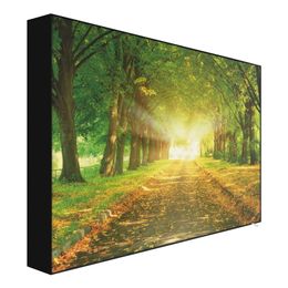 Bilderwelten Akustik-Wechselbild Autumn Avenue