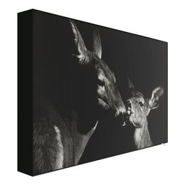 Bilderwelten Akustik-Wechselbild Rehe vor Schwarz